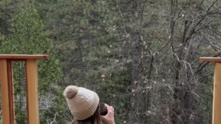 Press - whimsyhomes.com